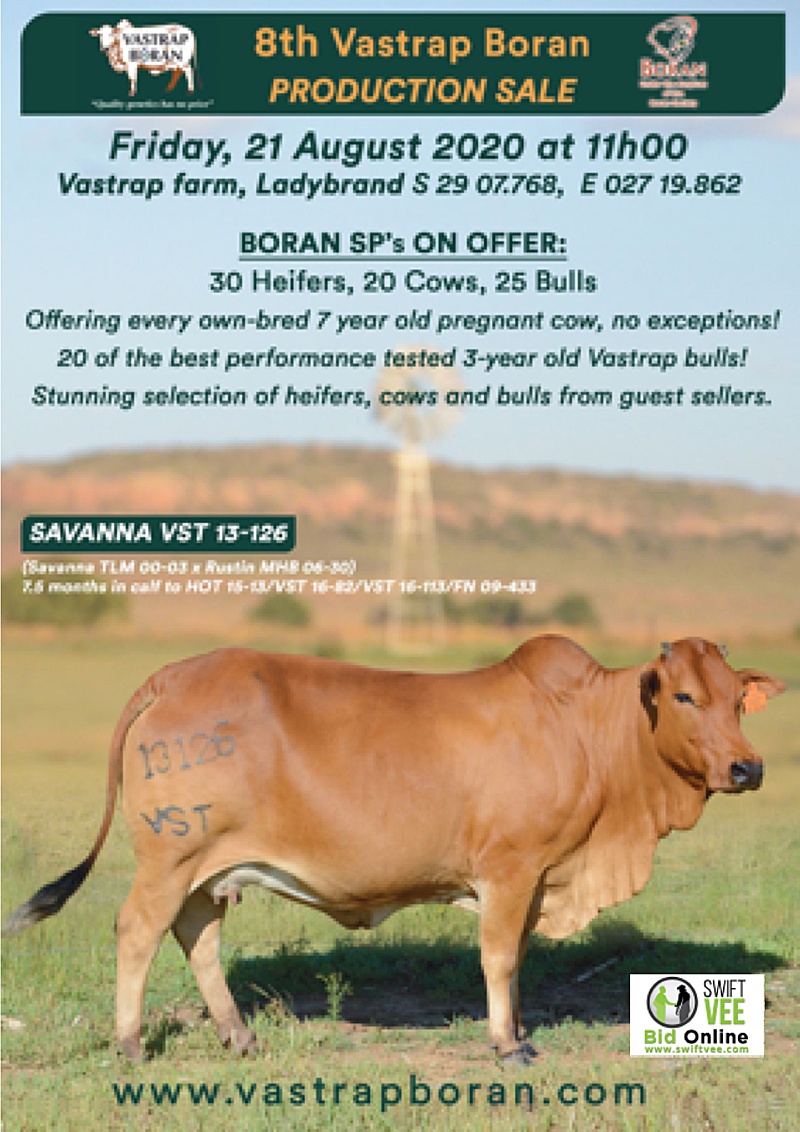 Info and Accommodation – Vastrap Boran